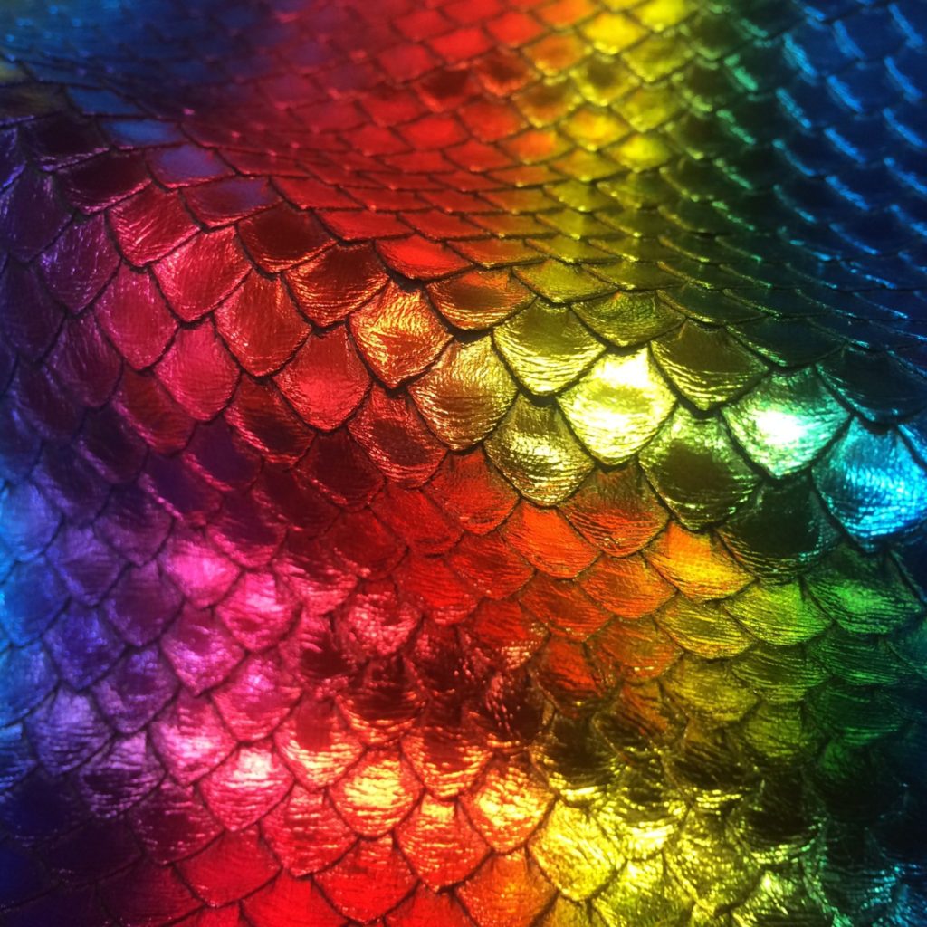 Real Rainbow Snake