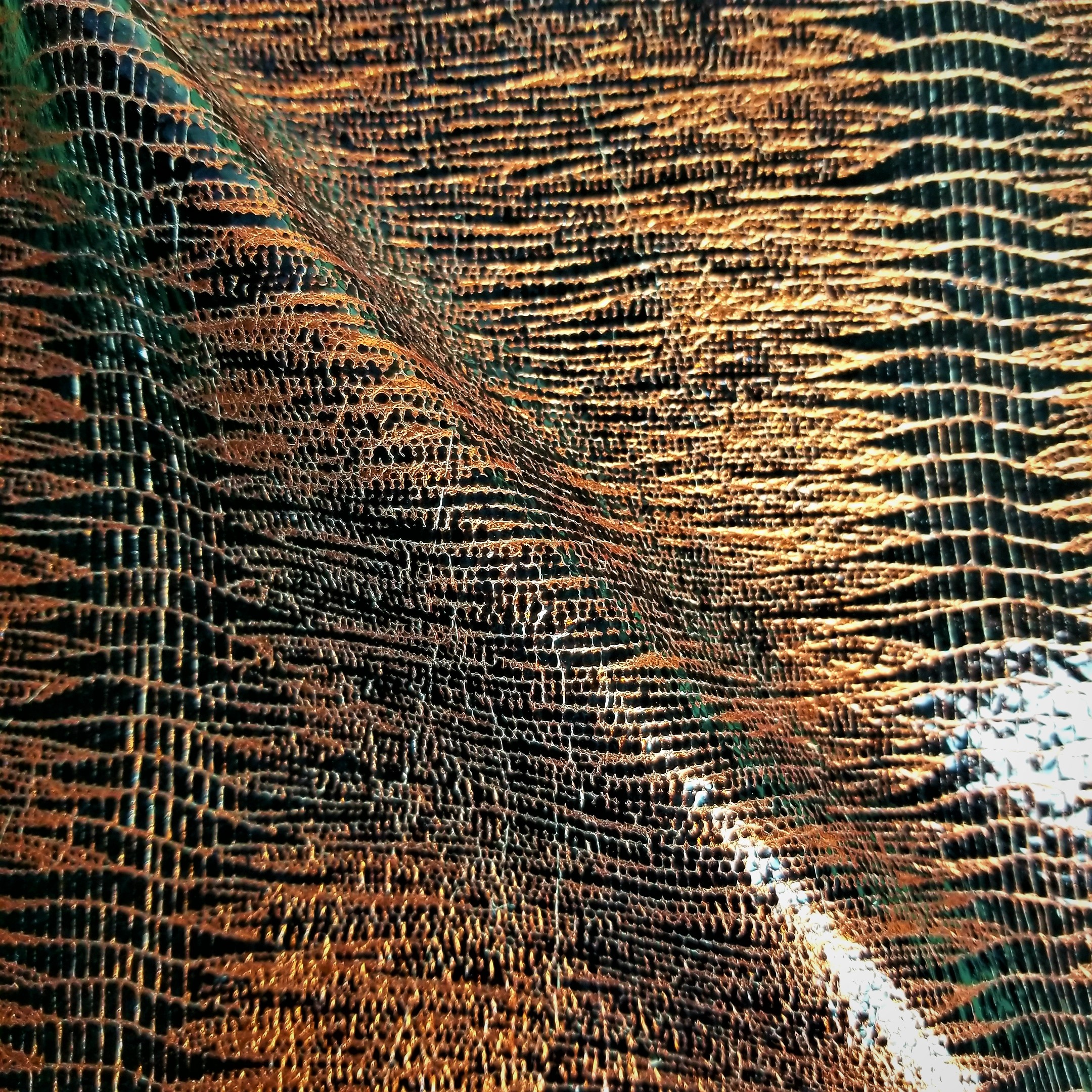 Orange Metallic Teju Lizard on Cow - Rainbow Leather