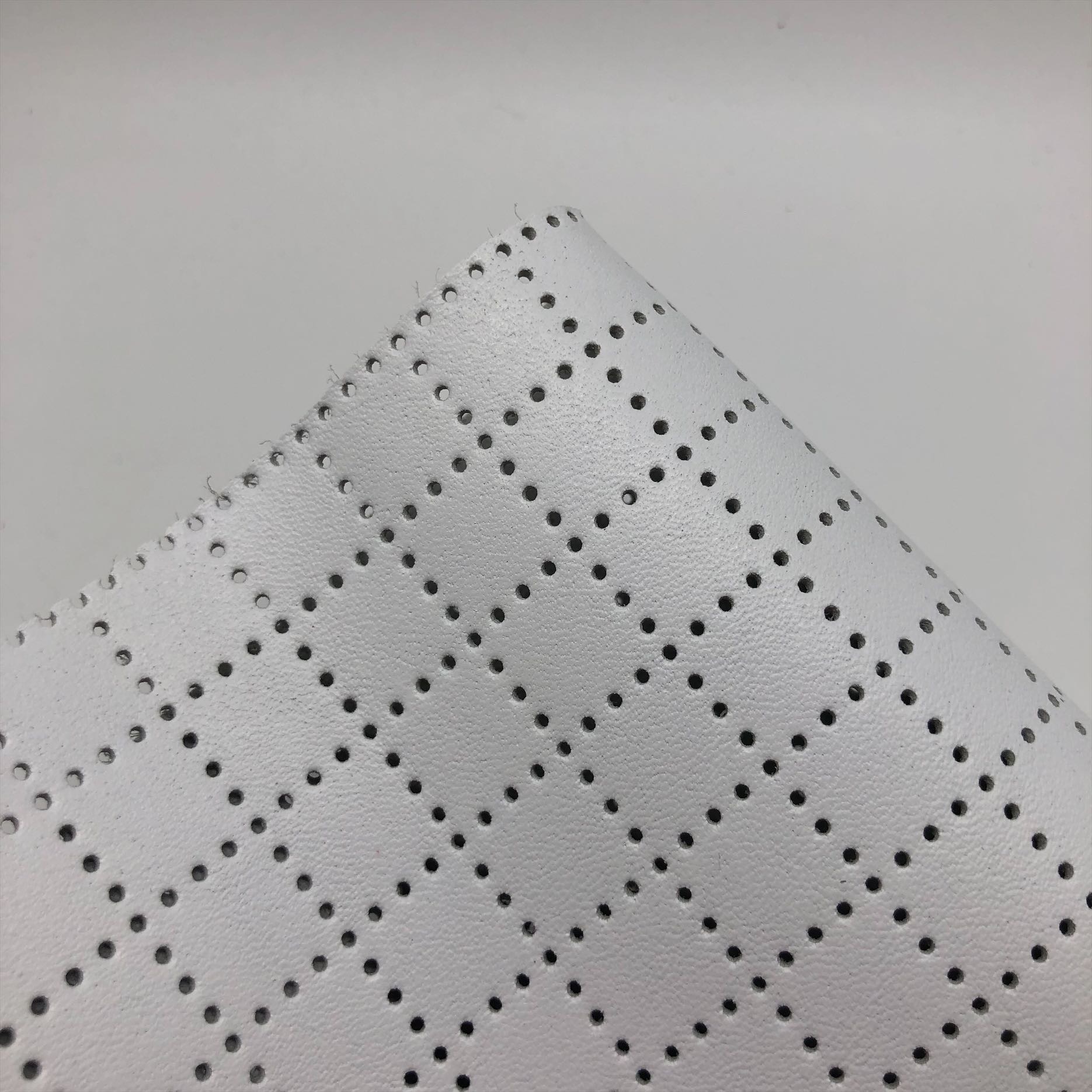 Quilt Perforated on White Mendoza - Rainbow Leather
